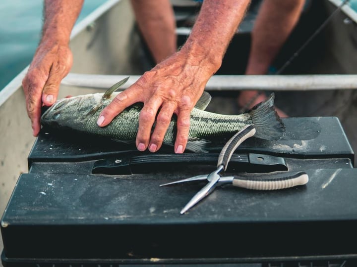 The Health Benefits of Sustainable Seafood